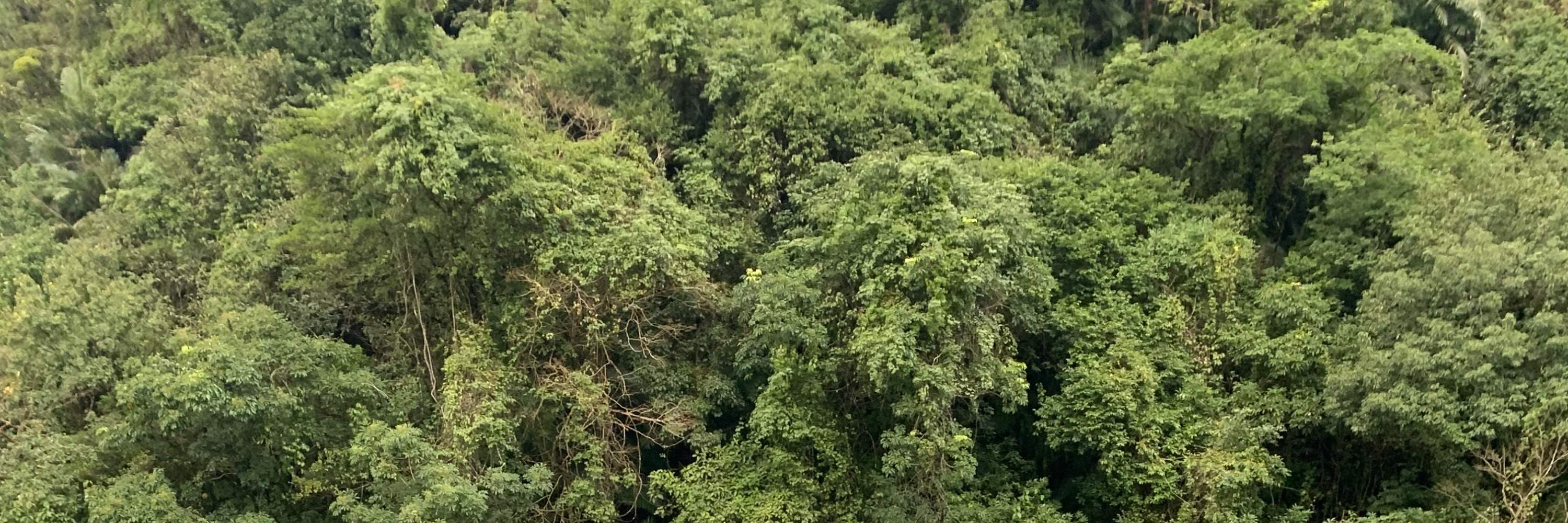 [Muslim Friendly] Jiufen Old Street/Heping Island/Shifen Old Street ...